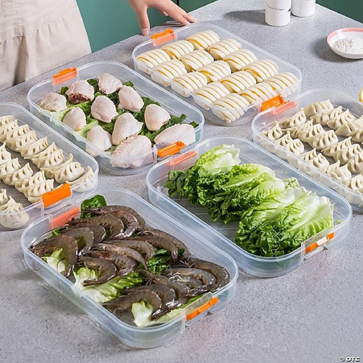 4-Layer Momo Dumplings Storage Box | Multipurpose Food Organizer Tray ...