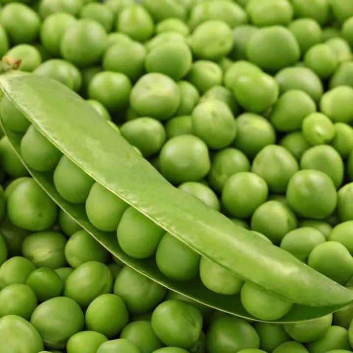 Hybrid Green Peas seeds 250 g | Daraz.pk