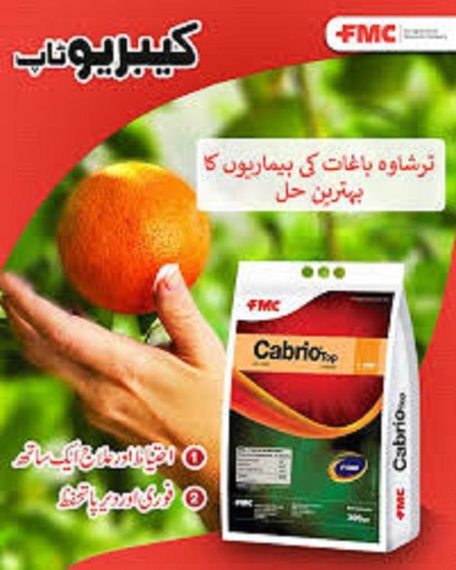 Fungicide CabrioTop by FMC (50 gram) | Daraz.pk