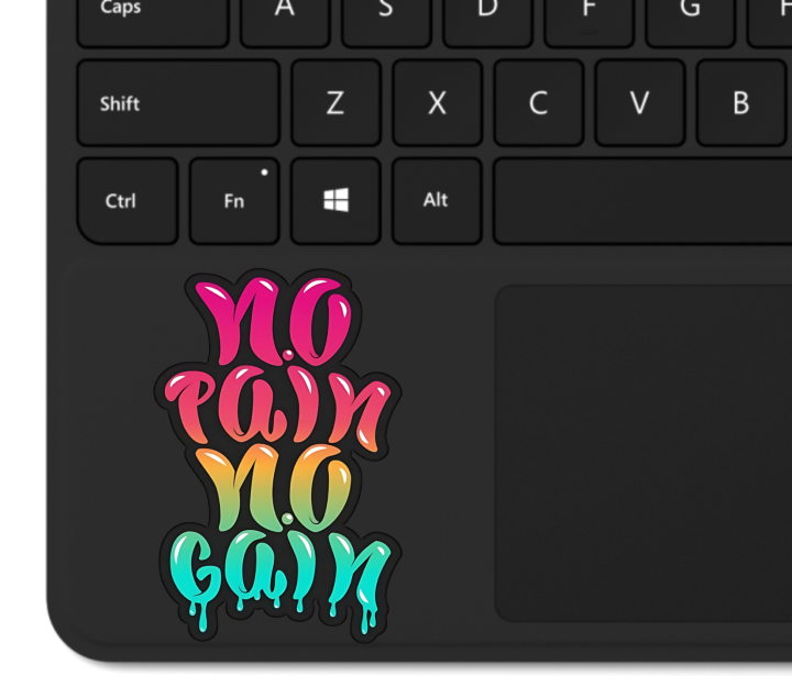 No Pain No Gain Sticker, Peel and Stick, HD Print and Laminated Vinyl ...