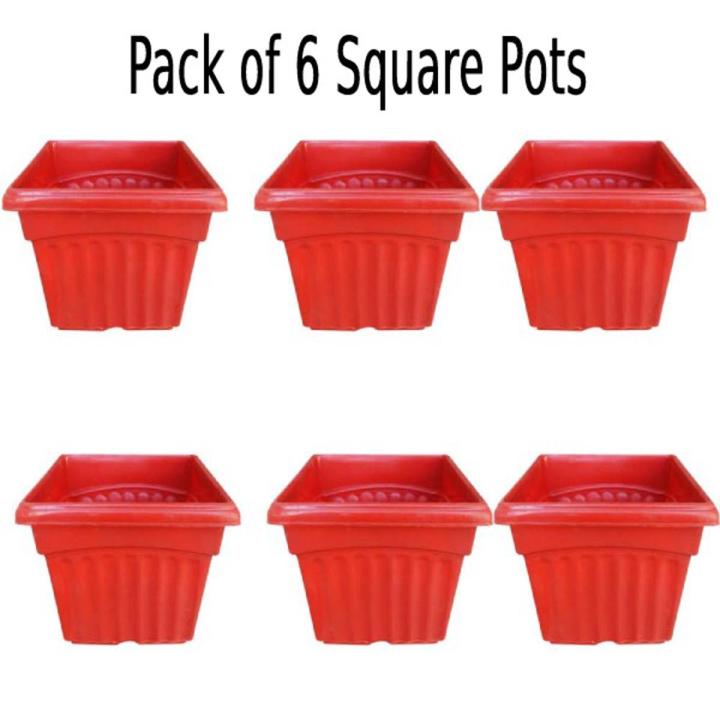 Pack of 6 Square Pot 8 inch Decent Design dia 8 inch, height 6 inch ...
