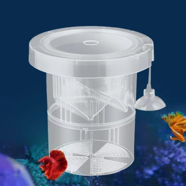 New Plastic Mesh Floating Hatching Box Shrimp Guppy Transparent ...