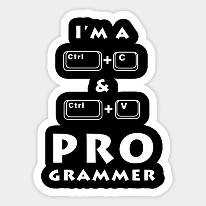 Sarcastic Stickers for Mobile and Laptop - Programmer Sticker - 3 inch ...