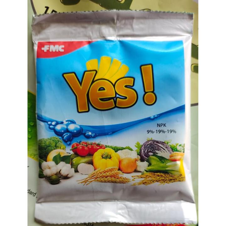 FMC NPK 9-19-19 Imported 50 Grams BY HAMZA EXPRESS | Daraz.pk