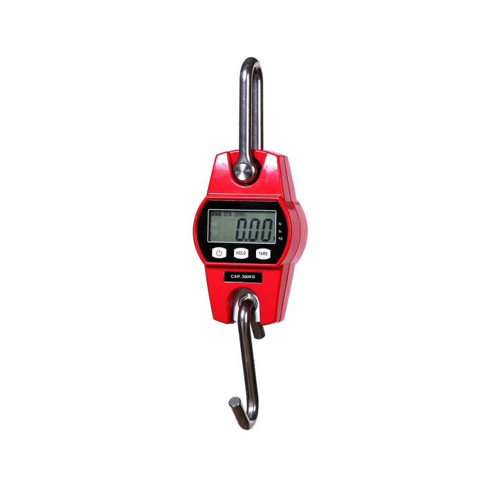 Heavy Duty Crane Scale Digital Hanging Hook Type – 300kg Capacity ...