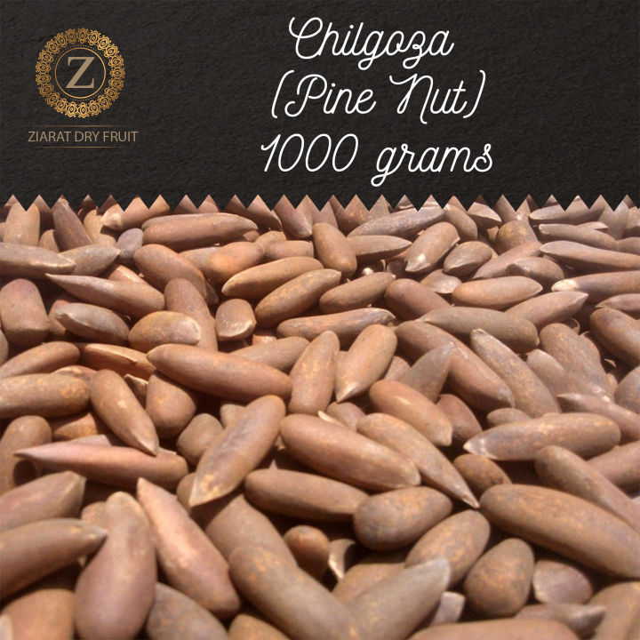 Chilgoza (Pine Nut) | Daraz.pk