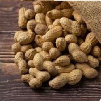 Peanut | Moong Phali | Moong Phali Chakwal | Roasted premium and pure ...
