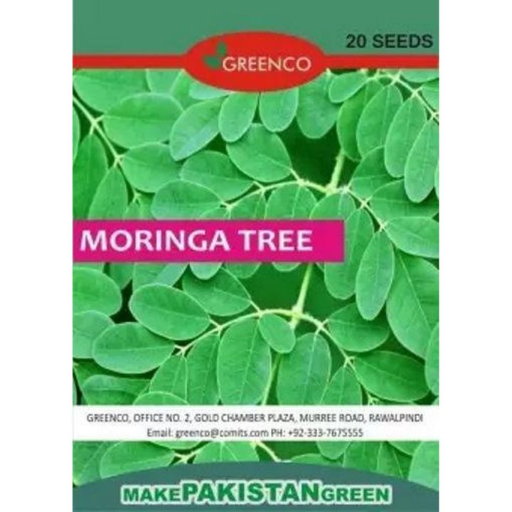 Qty 20 Indian Moringa Sohanjna (سہانجنا) Tree Seeds 100% Germination ...