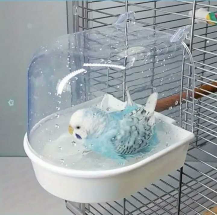 Bird Bathtub for Cage – | Daraz.pk