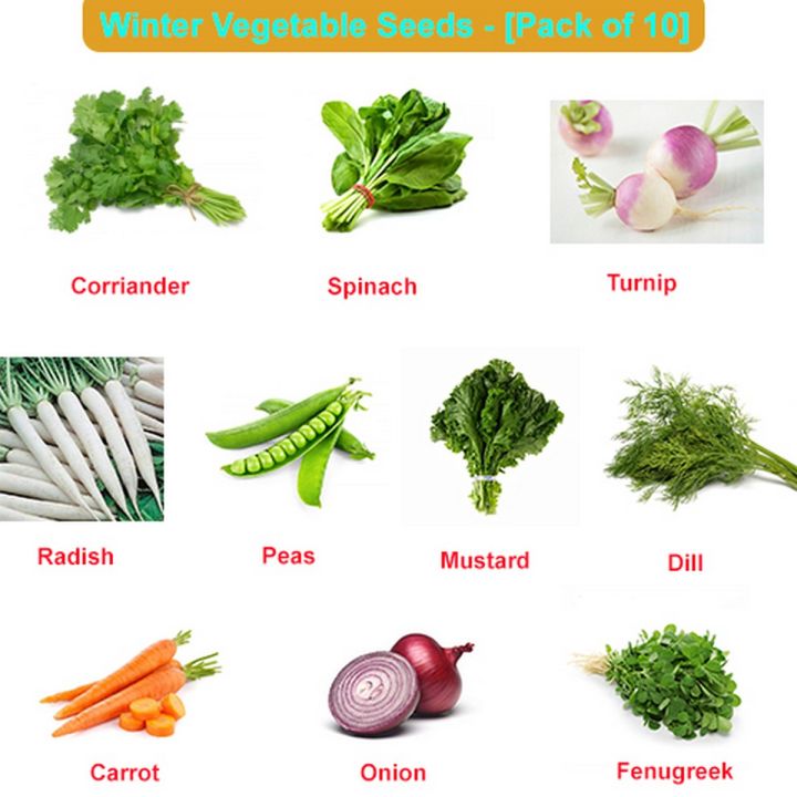 Winter Vegetables Seeds (Pack Of 10) Seeds Vegetables Packet ...