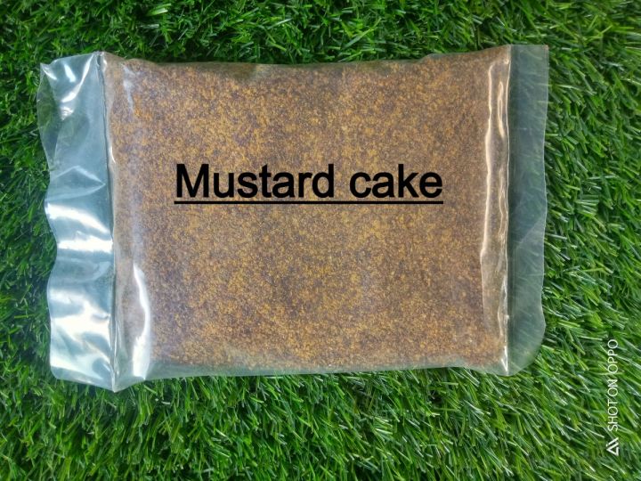 Mustard Cake 250 gram Organic Fertilizer / Organic Plant Food. | Daraz.pk