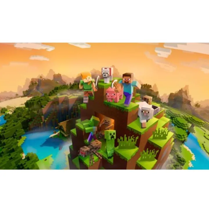 Minecraft Java Edition_ PC Game disk or 8gb usb and 32GB USB - Best ...