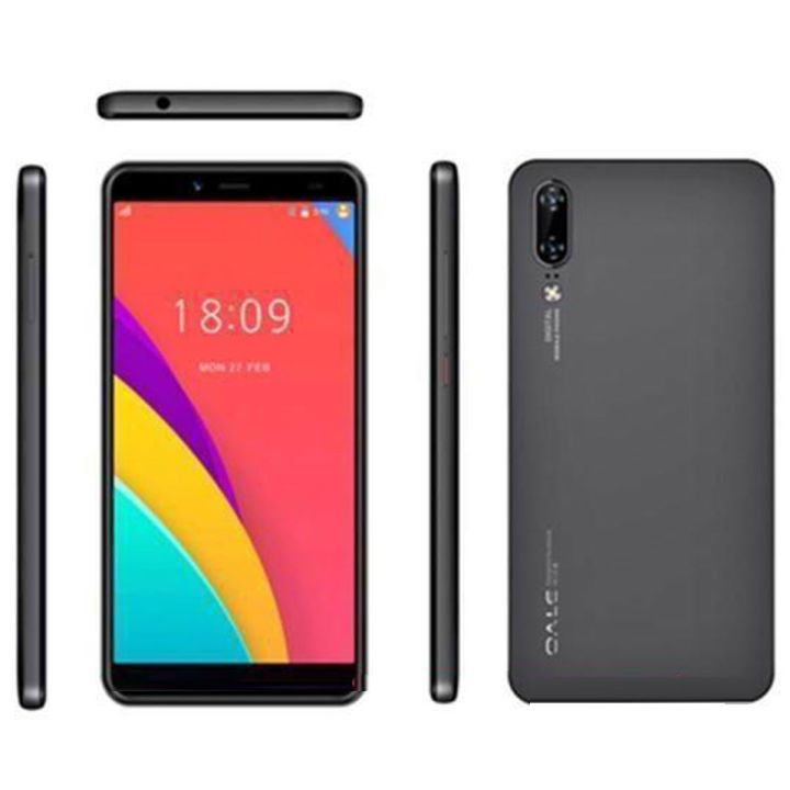 Oale P2 5.5 16GB ROM 2GB RAM Dual Sim 4G 1 Year Warranty | Daraz.pk
