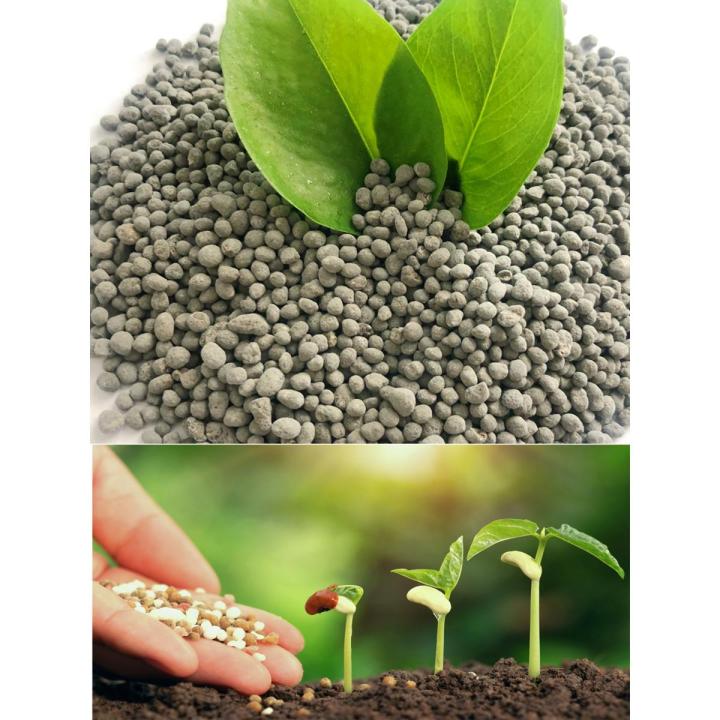 NPK Fertilizer Macro nutrient for plant growth ( 1KG) | Daraz.pk