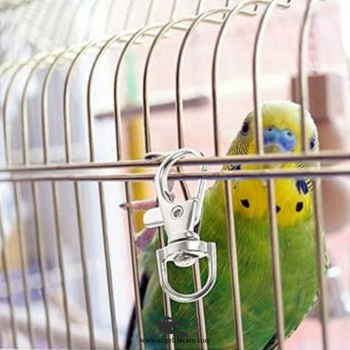 Steel Cage Lock – Heavy Duty Security Lock for Birds Cages | Daraz.pk