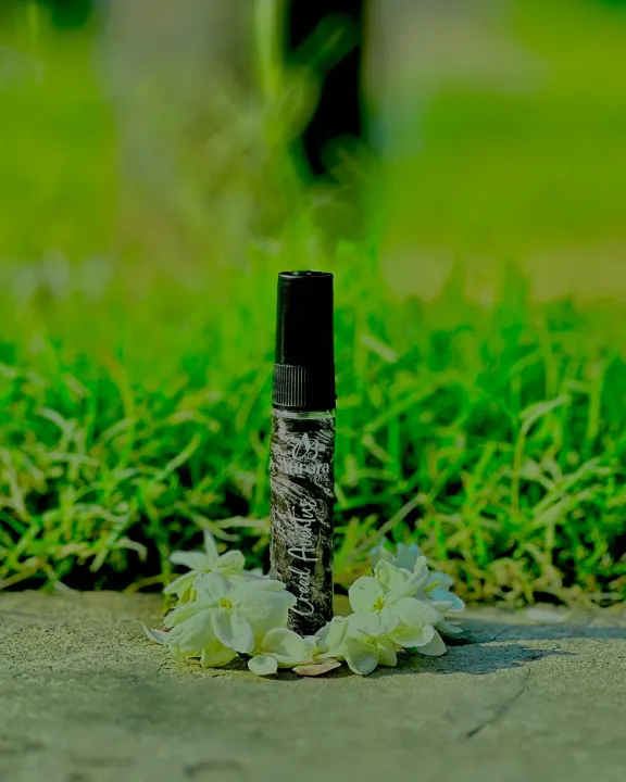 Creed Aventus | 5ml Mini Eau de Parfum | Premium, Long-Lasting Men's ...