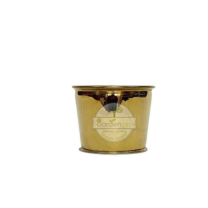 Golden Planter, Stainless Steel Planter for indoor plants, Golden Pot ...