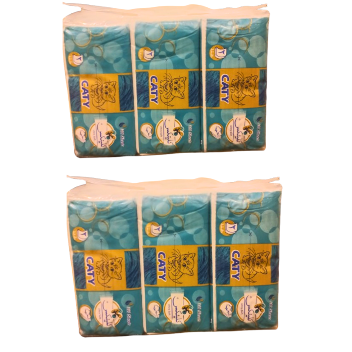 Catty Tissue Silky Soft Pack of 12 2ply 300 Easy Pull Out Tissues ...