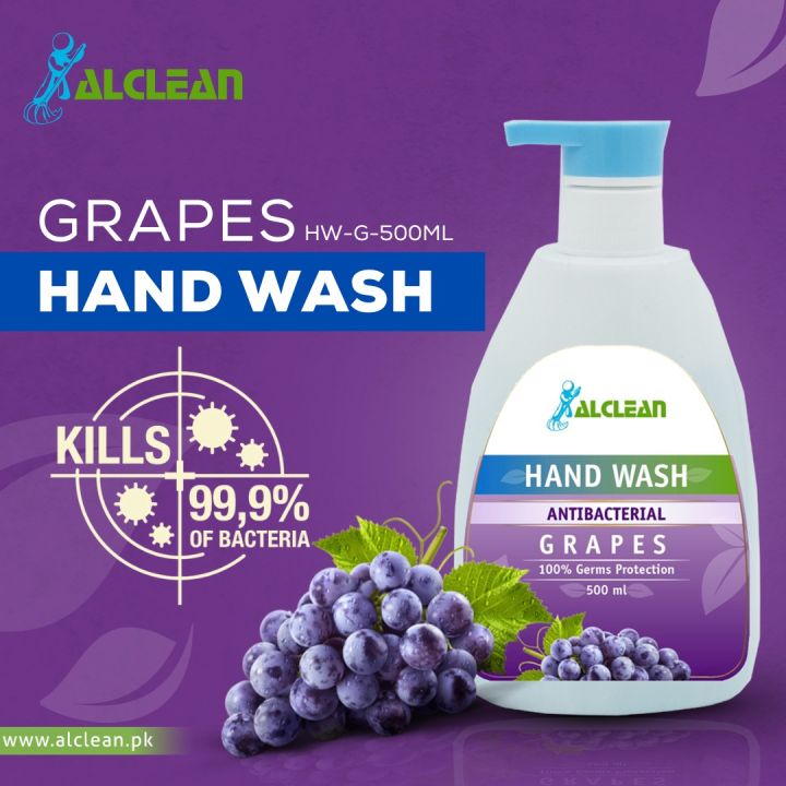 AlClean Hand Wash Grapes 500ml | Daraz.pk