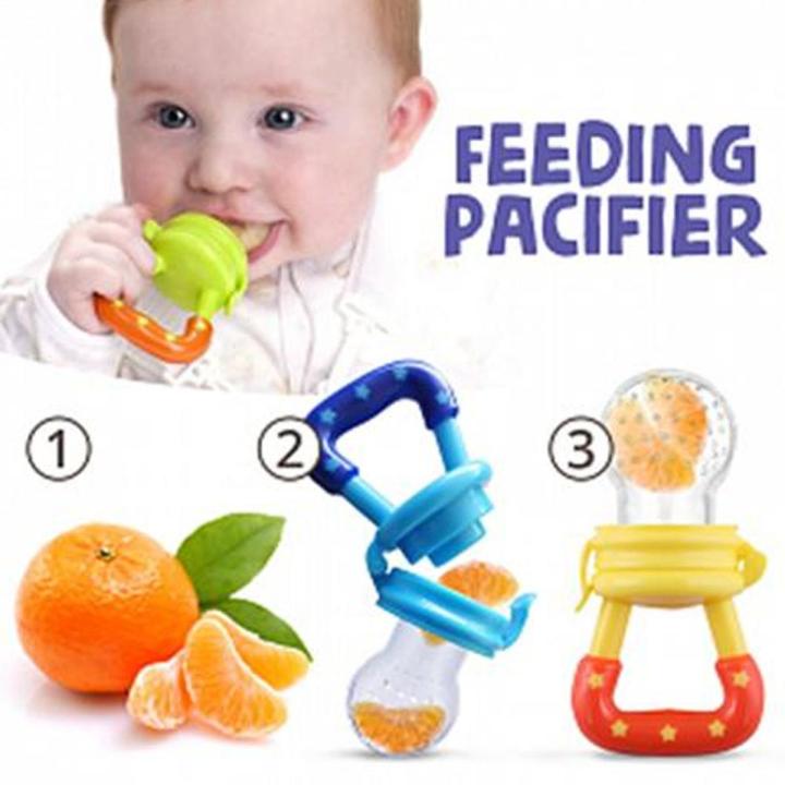Baby Fruit Pacifier - Fruit and Vegetable Feeding Pacifier - Fruit ...