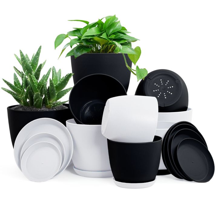 Fast Forward Premium Set of 10 Indoor Plant Pots with Drainage ...