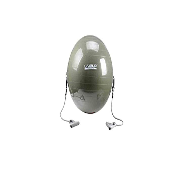 LIVE UP Gym ball With Expander LS3227- 65cm | Daraz.pk