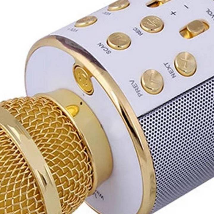 ARCWS1 Microphone with Loud Speaker - Trending Speech Gadget | Daraz.pk