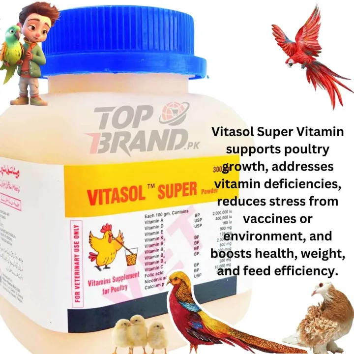 Vitasol Super Multivitaminz Powder for Birds – Essential Nutrition for ...