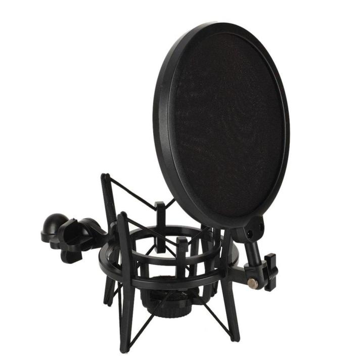 Audio Professional Condenser Microphone Mic Studio Sound Recording W ...