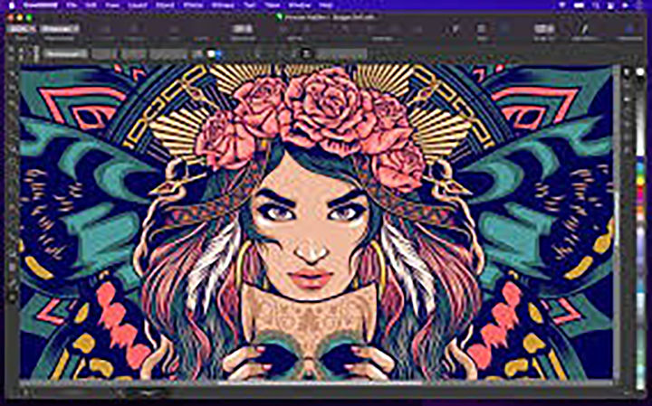 CorelDRAW Graphics Suite 2024 25.2.1.313 | Daraz.pk