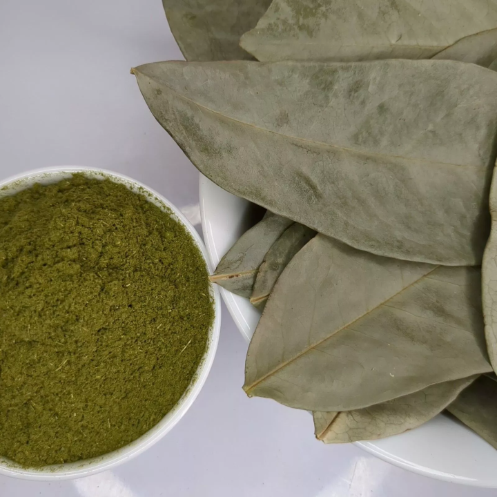 Dried Soursop Leaves / powder Ceylon Guanabana Graviola Guyabano ...