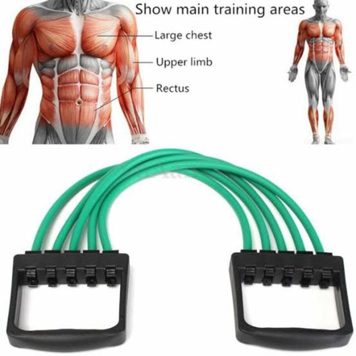 Strength Arm Chest Pull Fitness - 5 Spring Chest Expander | Daraz.pk