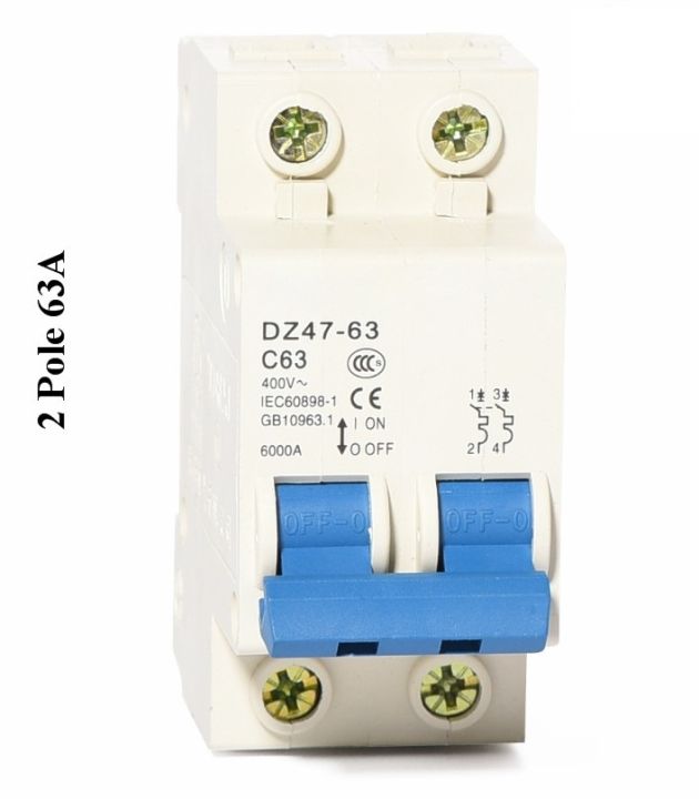 Miniature Circuit breaker SHREMI DZ47-63 2P 63A | Daraz.pk