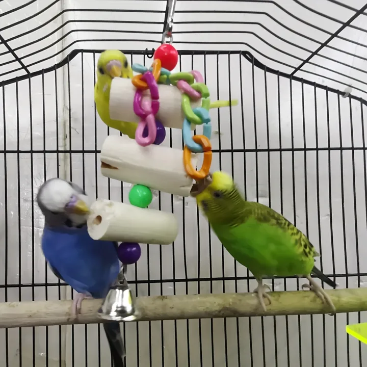 Parrot Chew Toy with Beads, Chains, Rings, Balls & Bell - Interactive ...
