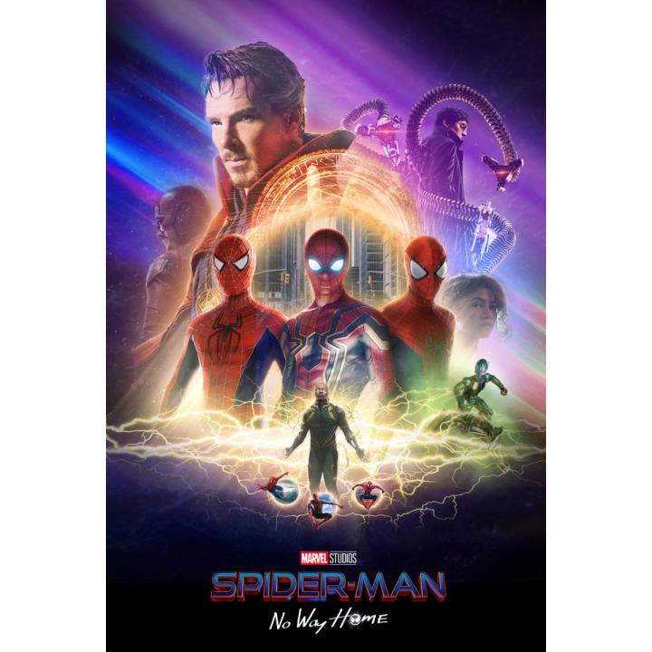 Spiderman Peter Parker The Avengers by the Marvel MCU 2.0 Multiverse ...