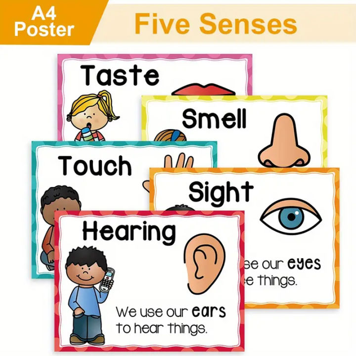 5pcs Bundle Five Senses Flashcards Posters Classroom Educational ...