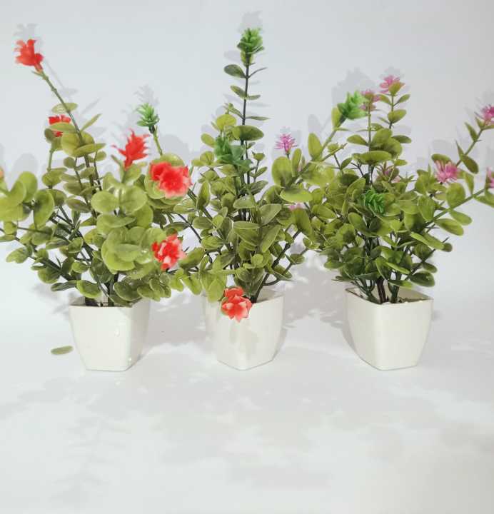 One Flower Pot | Daraz.pk: Buy Online at Best Prices in Pakistan | Daraz.pk