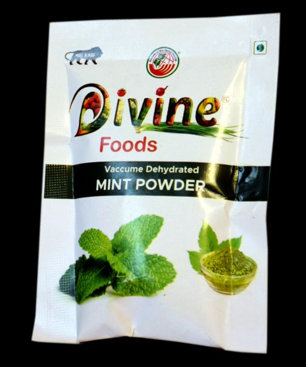 Mint Leaves Powder 100 grams | Daraz.pk
