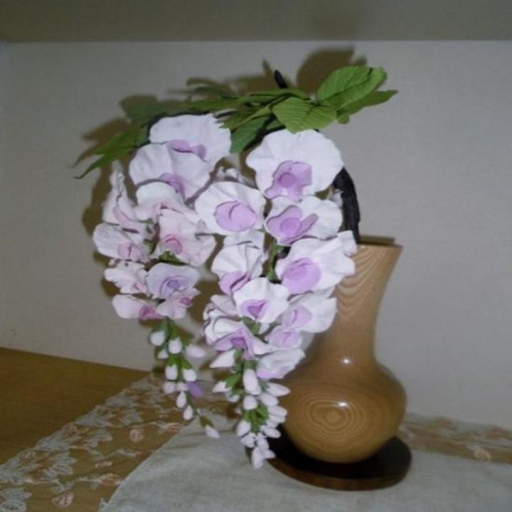 Bonsai Bi Color Wistera Tree Seeds | Daraz.pk