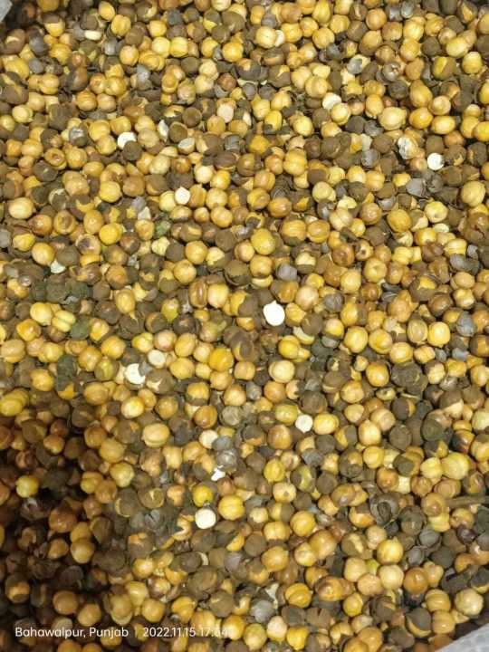 chany/cholay 500GM | Daraz.pk