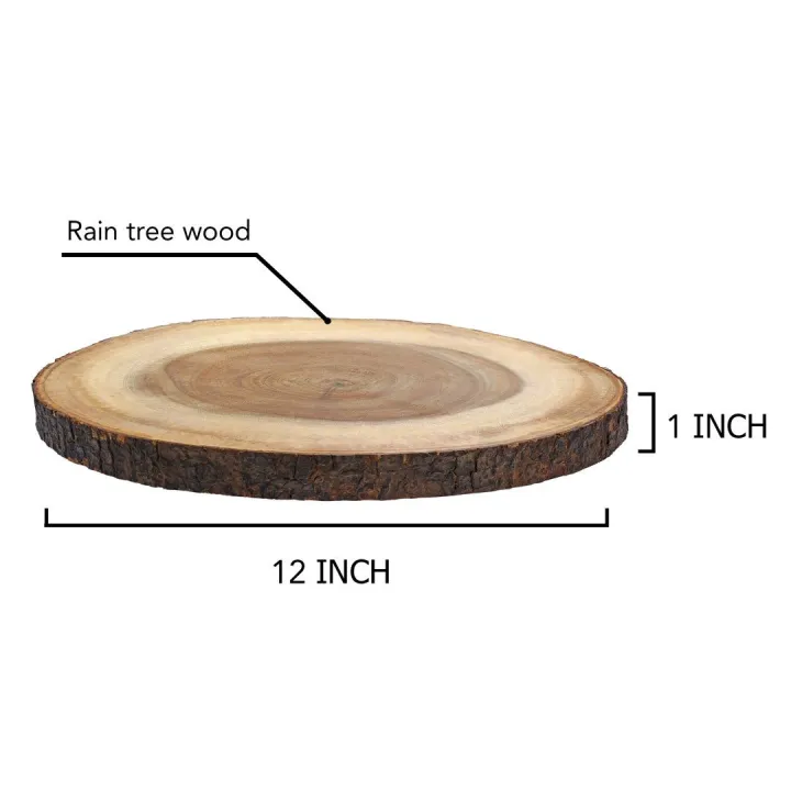 Premium 12" Natural Wood Slice – 1 Inch Thick | Rustic Round Wooden ...