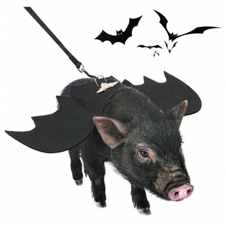 【To Global】Bat Wings Halloween Costumes for Dogs Pet Costume Bat Wings ...