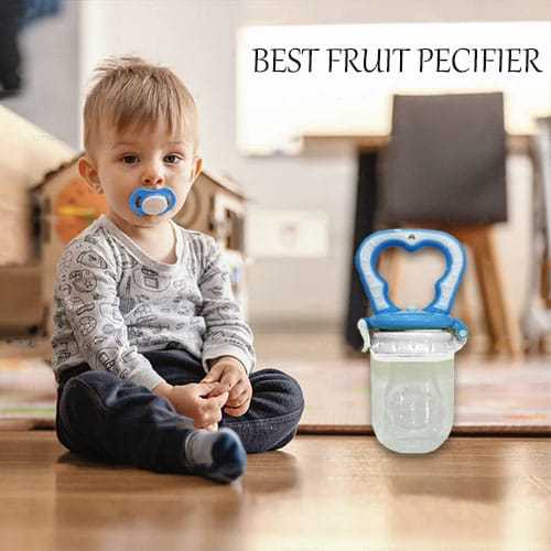 Pacifier/Fresh Fruit Baby Food, Baby Fruit Pacifier/Fruit Feeder ...