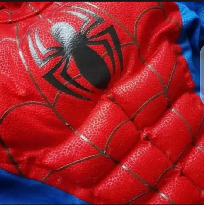 Spiderman Muscular Premium Quality Padded Dress Costume For Kids Of 3 ...