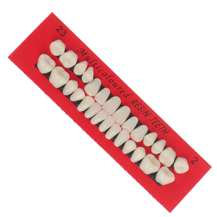 28pc Acrylic Resin Teeth Denture Upper Lower Shade 23# A2 Dental | Daraz.pk