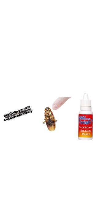 Easy finish cockroach killing paste gel | Daraz.pk