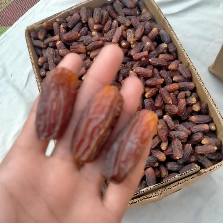 Mabroom Dates (khajoor) - 500g - Premium Quality - From Saudia Arab ...