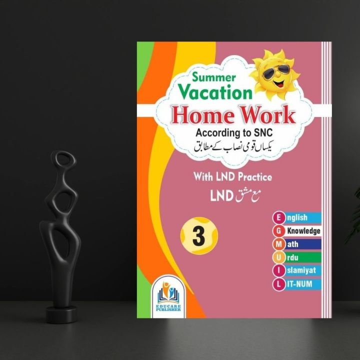 EduCare Vacation Work Book Grade-3 | Daraz.pk