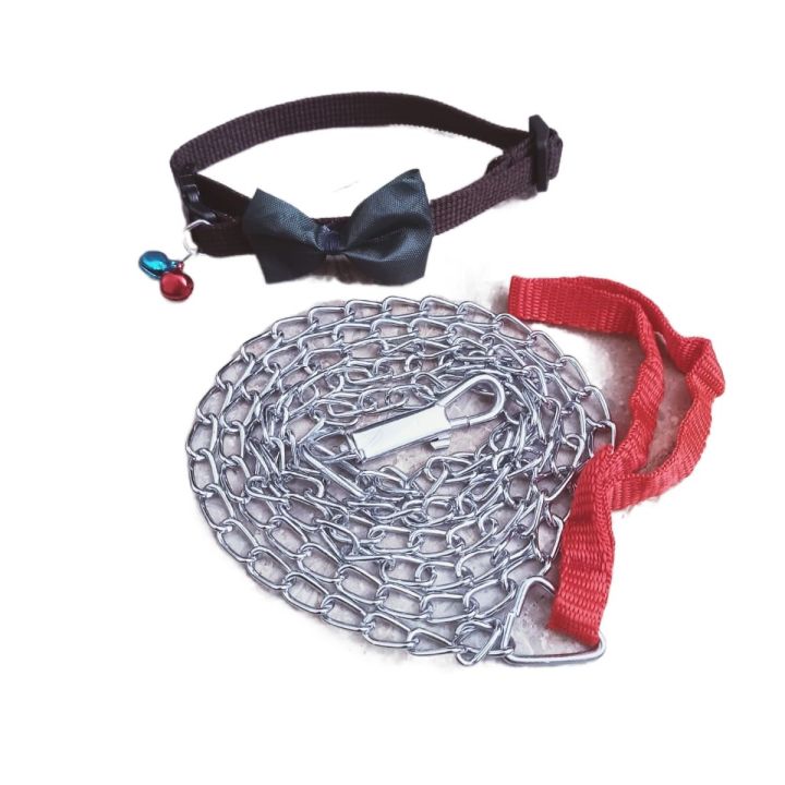 Cat Collar + Chain For Cats | Daraz.pk