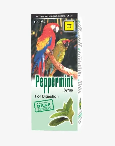 PEPPERMINT SYRUP 120ml | Daraz.pk